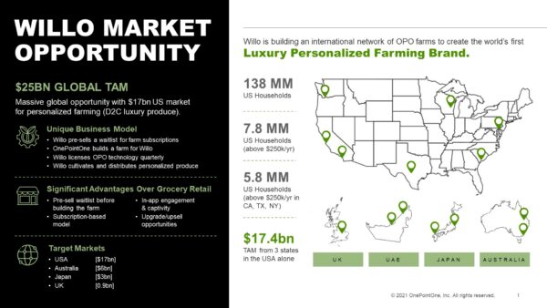 How to Effectively Use a TAM Slide in Your Pitch Deck